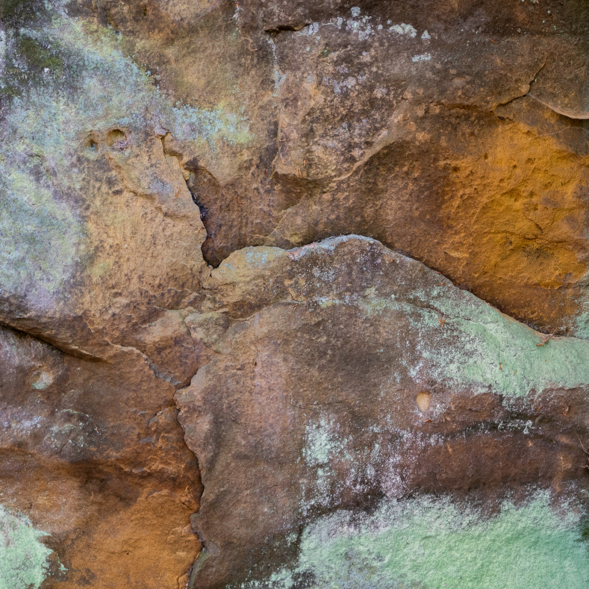 Abstracte fotografie: 13 manieren/ technieken/ onderwerpen • Vink Academy