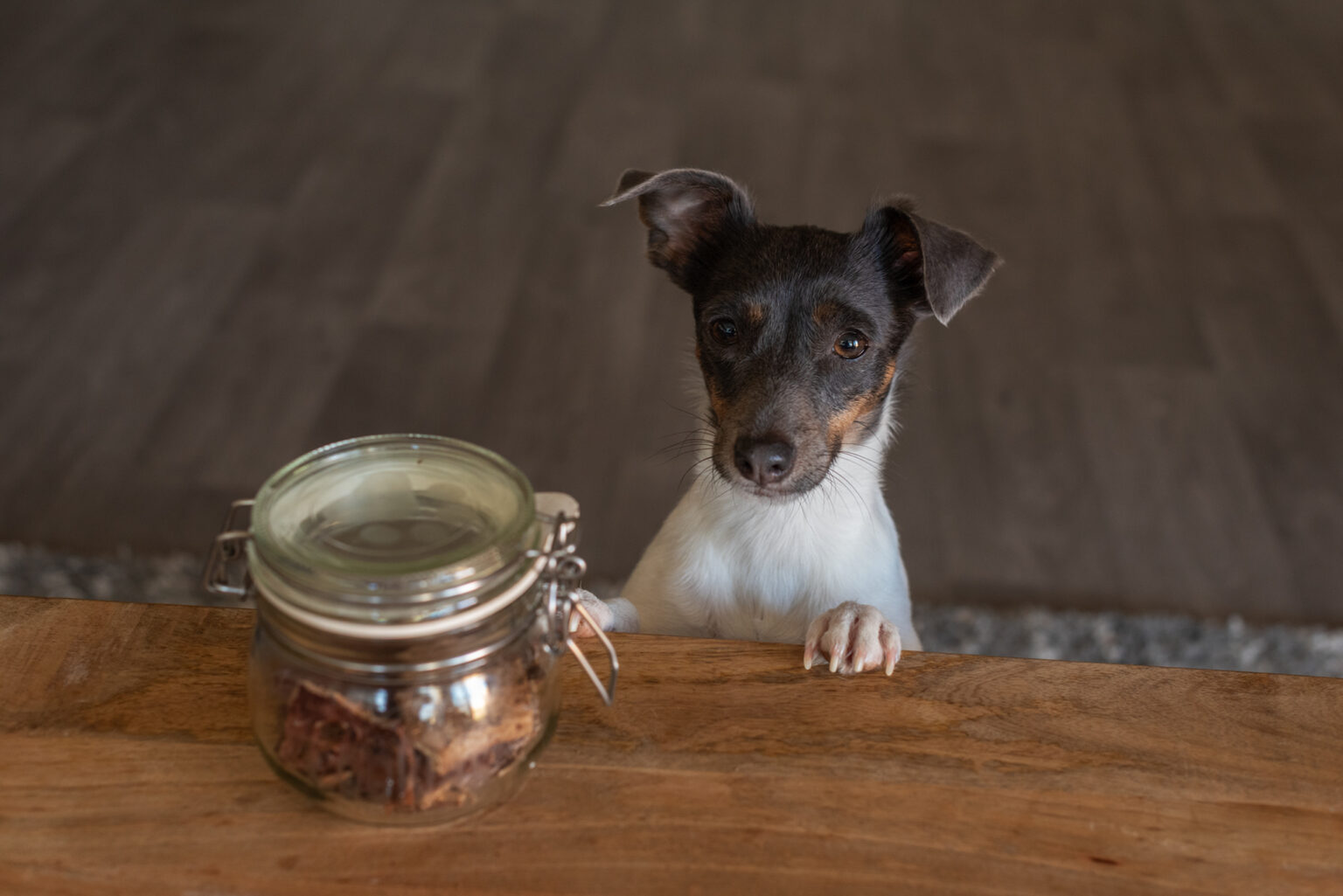 Fotografiechallenge - Doe je ook mee?* • Vink Academy