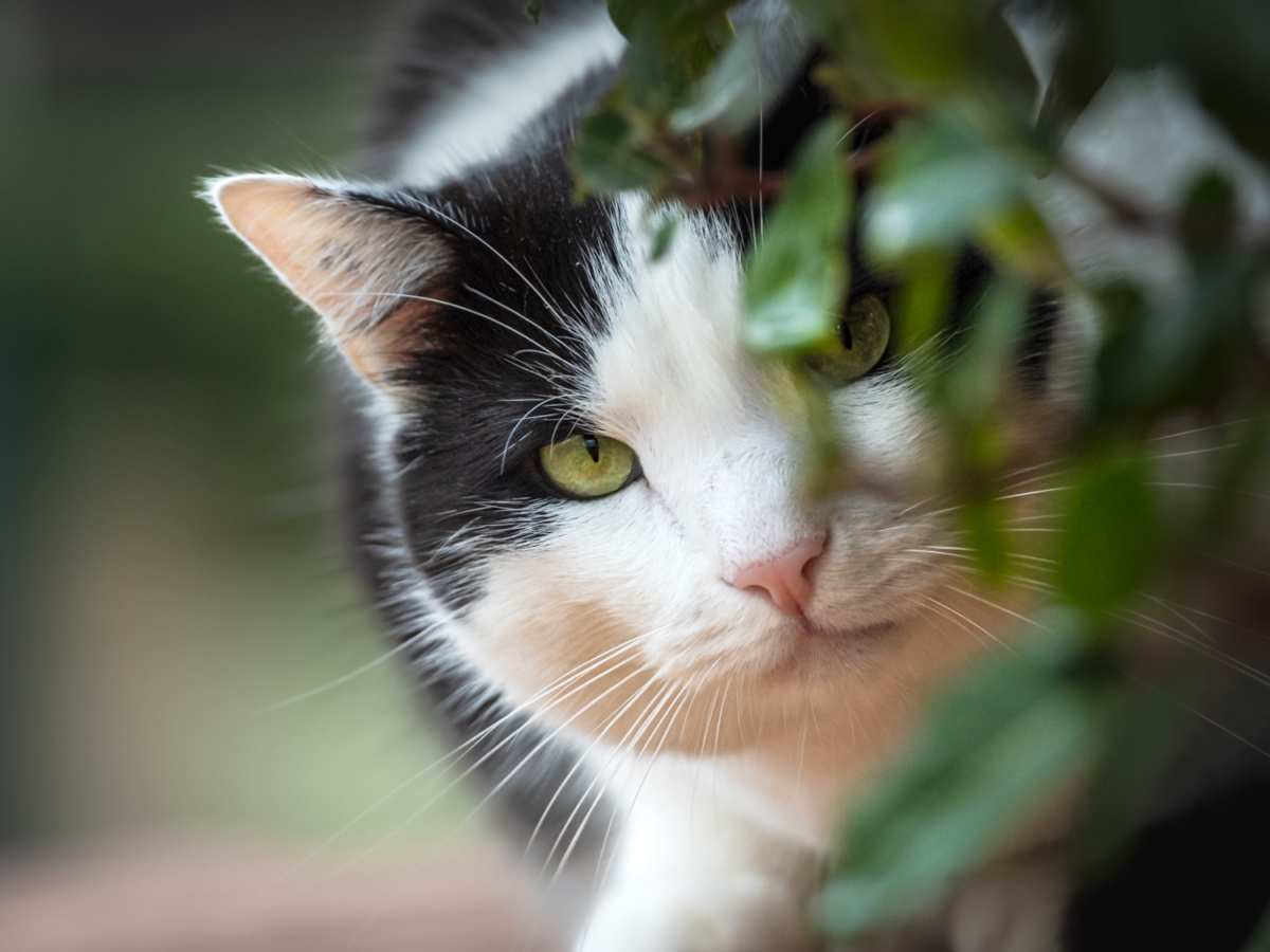 Fotografiechallenge - Doe je ook mee?* • Vink Academy