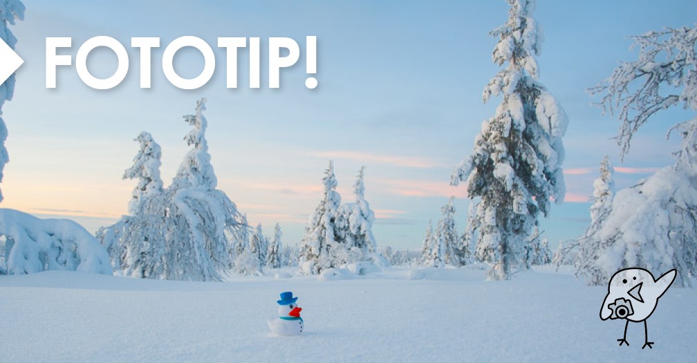 fototip-van-de-week-85 • Vink Academy