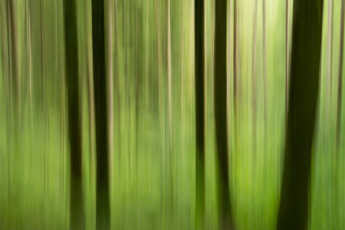 Abstracte fotografie: 13 manieren/ technieken/ onderwerpen • Vink Academy