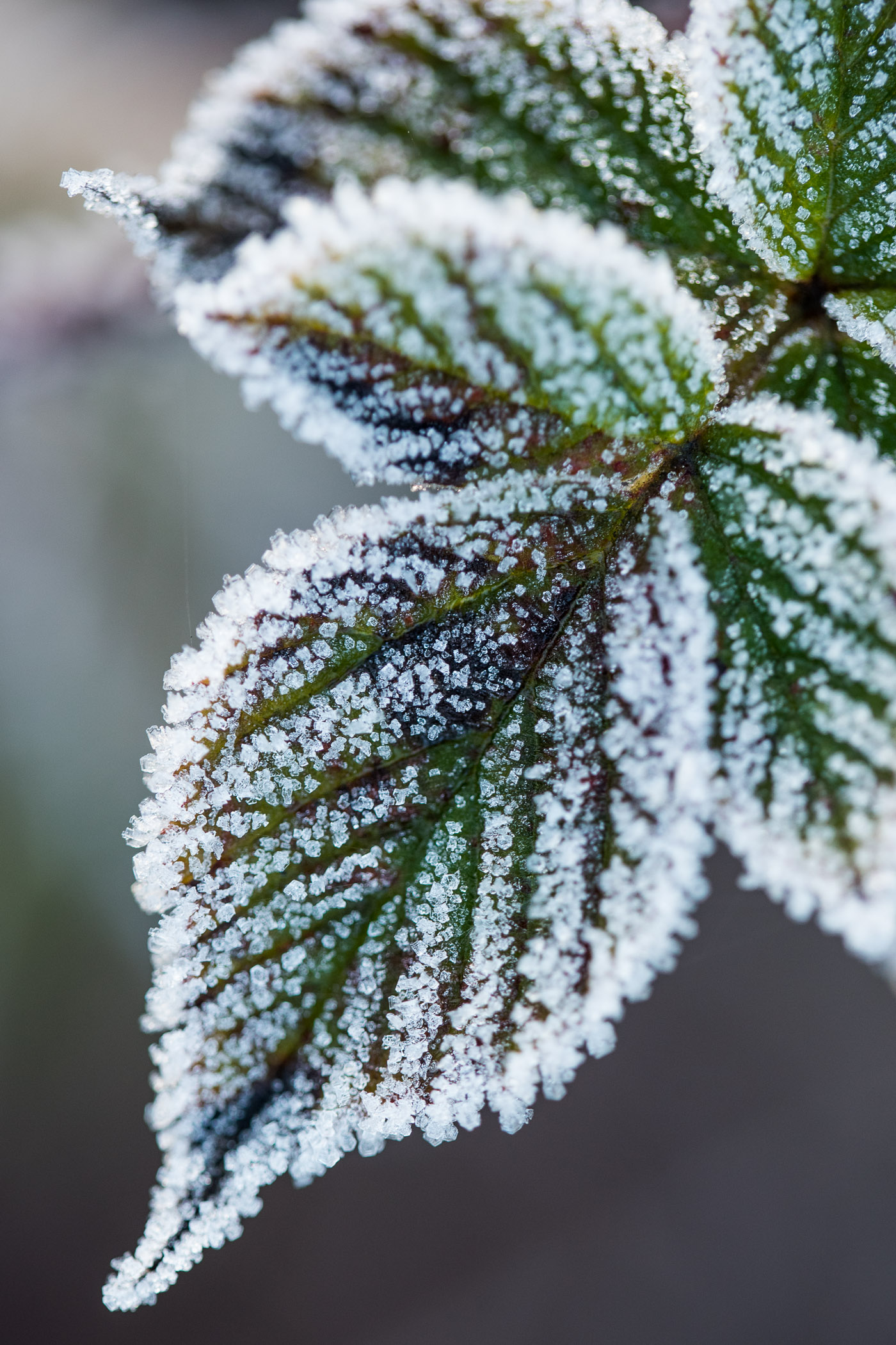 Tips voor het fotograferen van ijs
