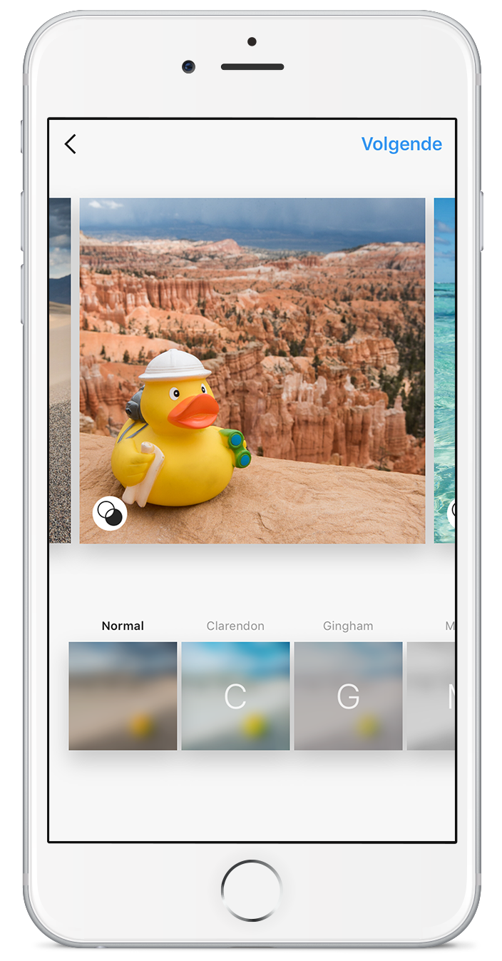 Instagram Album: 12 manieren om dit leuk te gebruiken • Vink Academy