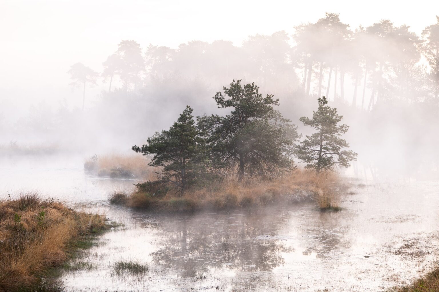 15 tips voor fotograferen in de mist • Vink Academy