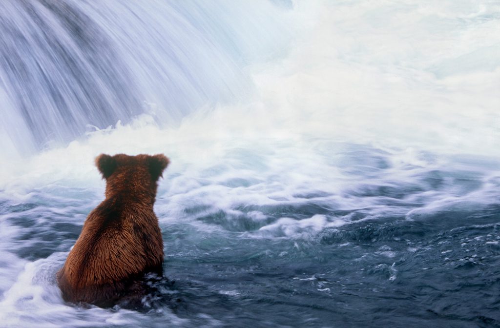 Meld je aan voor de Marius van der Sandt Academy beurs voor jonge ...