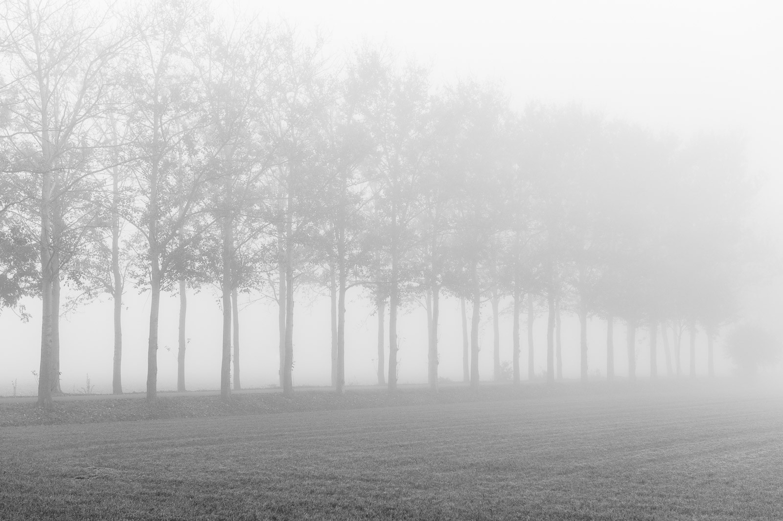 15 tips voor fotograferen in de mist - Vink Academy