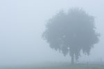 15 tips voor fotograferen in de mist • Vink Academy
