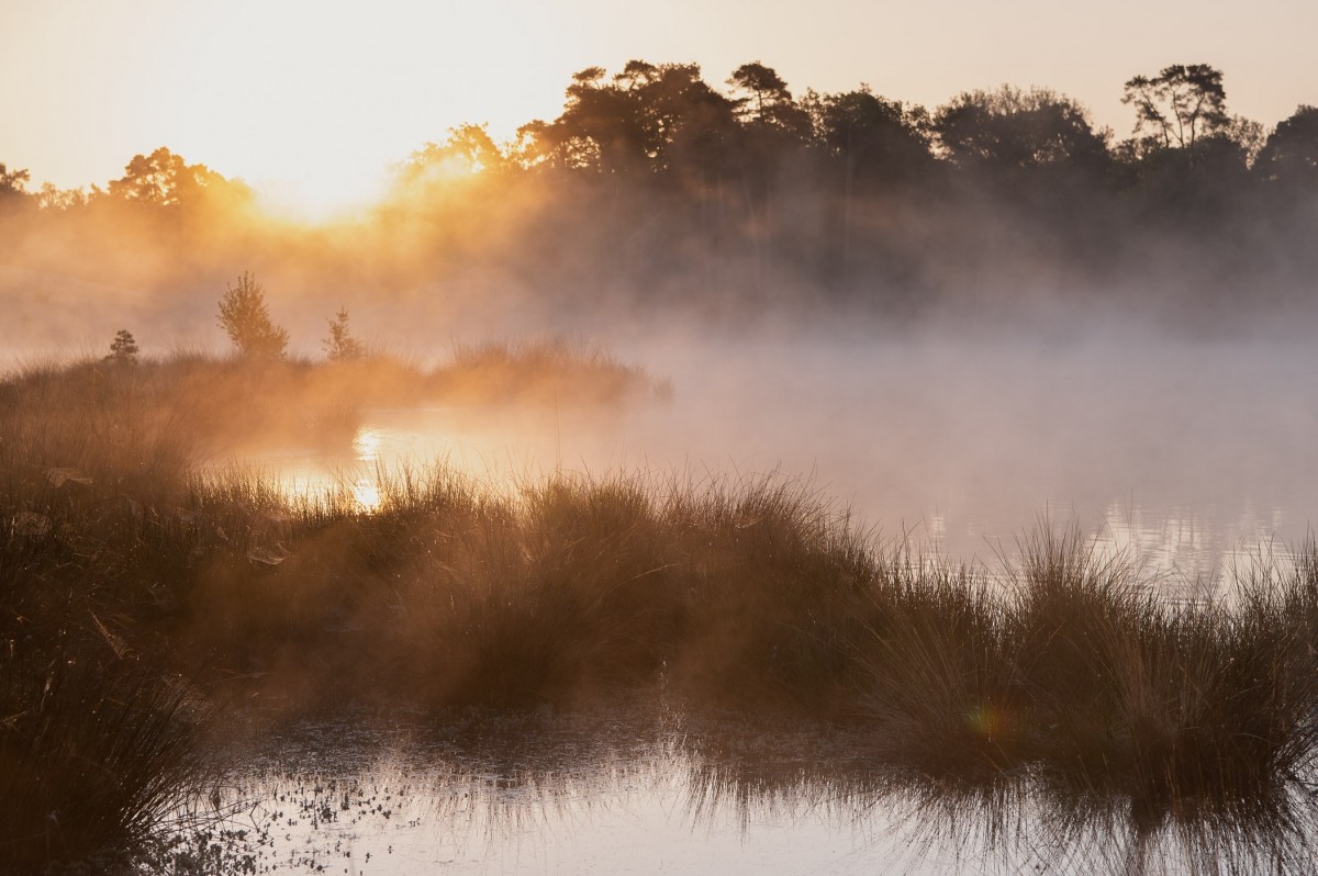 15 tips voor fotograferen in de mist • Vink Academy