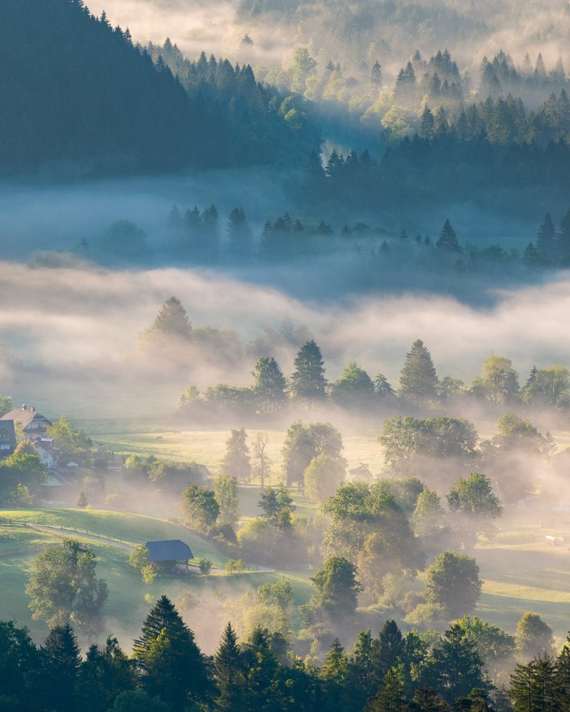 15 tips voor fotograferen in de mist • Vink Academy