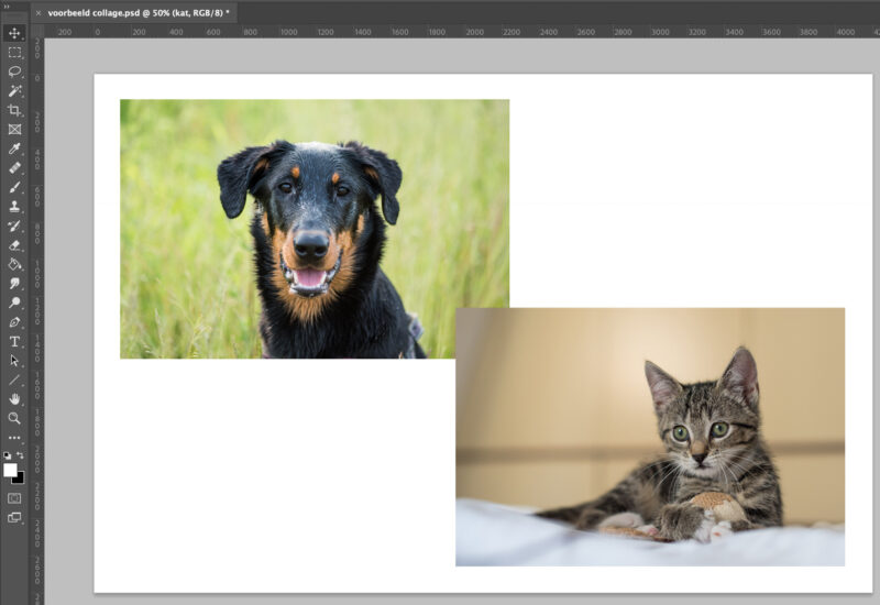 Wat is een slim object in Photoshop? (smart object) • Vink Academy