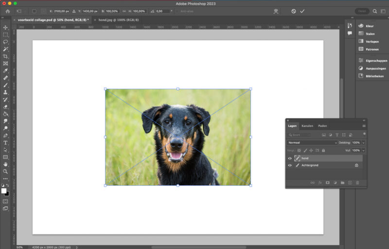Wat is een slim object in Photoshop? (smart object) • Vink Academy