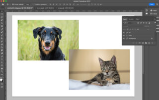 Wat is een slim object in Photoshop? (smart object) • Vink Academy